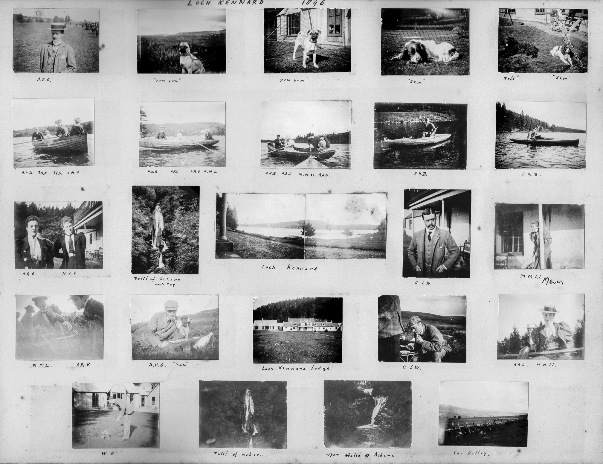 Photos: VP_Tyntesfield_A2-14.jpg: Gibbs Family Tree