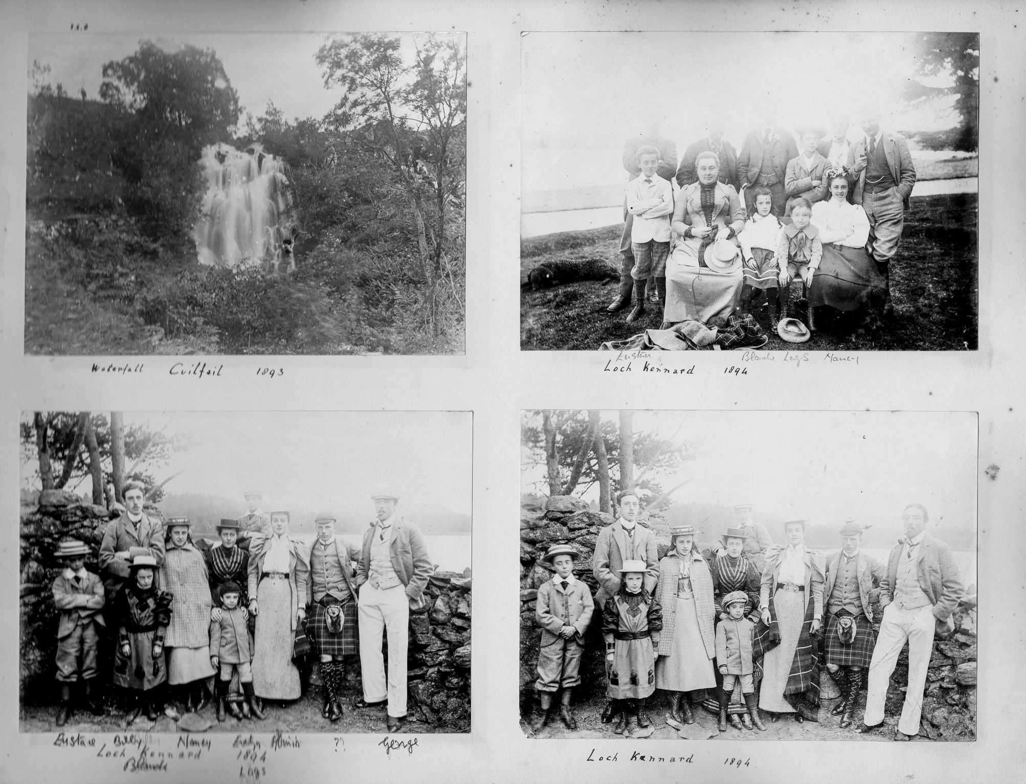 Photos: VP_Tyntesfield_A2-6.jpg: Gibbs Family Tree