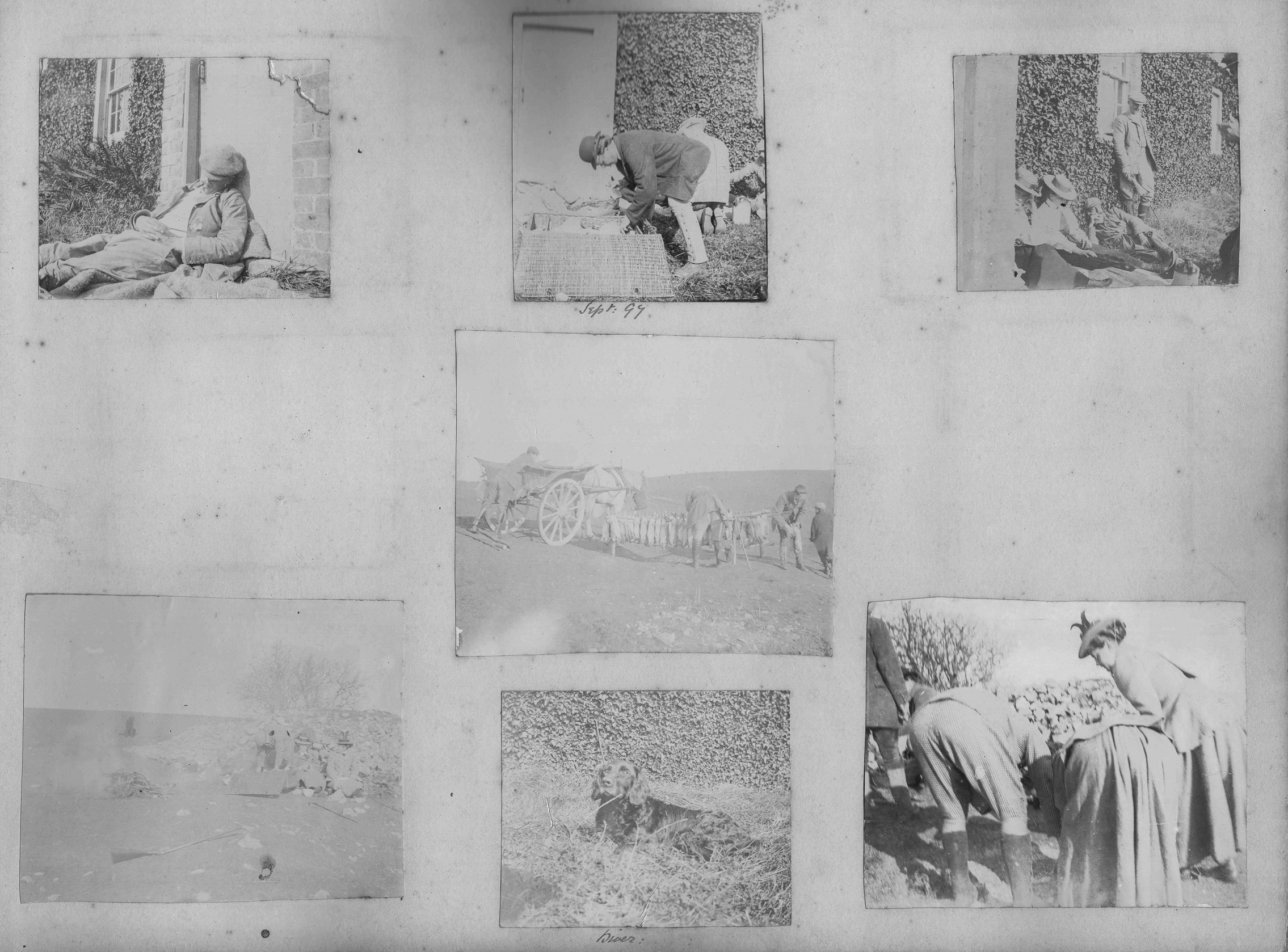 Photos: VP_Tyntesfield_A3-5.jpg: Gibbs Family Tree